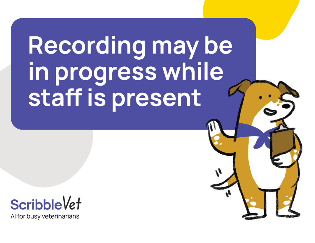 ScribbleVet Blog | Transform Your Veterinary Practice With AI